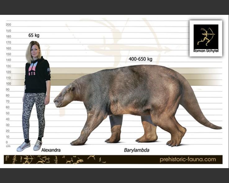 Some species that have never been suggested New species! - Page 2 ...