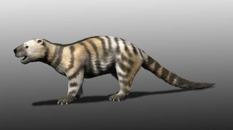 Some species that have never been suggested New species! - Page 2 ...