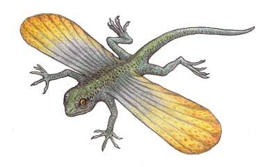 Amphibiousaurus “aerial aquatic” - Creature submission archive - ARK ...