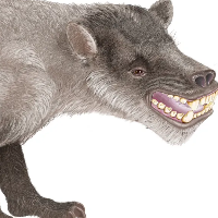 Some species that have never been suggested New species! - Game ...