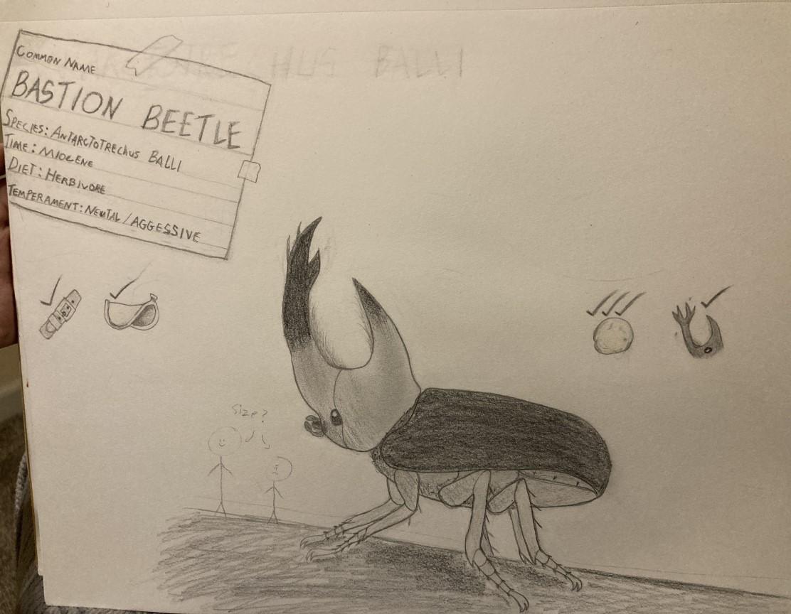 Antarctotrechus Balli (The Bastion Beetle) - Creature submission ...