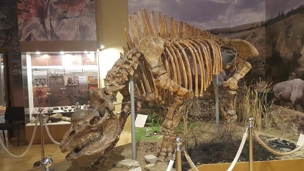 Elasmotherium - Creature submission archive - ARK - Official Community ...