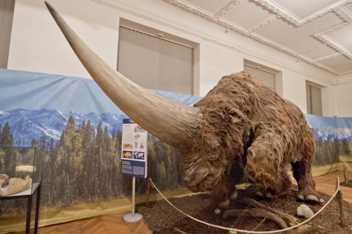 Elasmotherium - Creature submission archive - ARK - Official Community ...