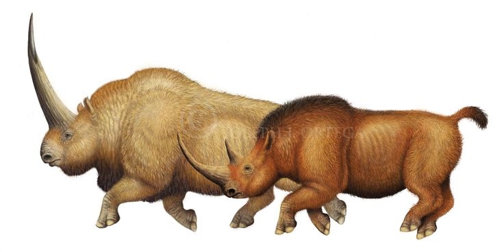 Elasmotherium - Creature submission archive - ARK - Official Community ...