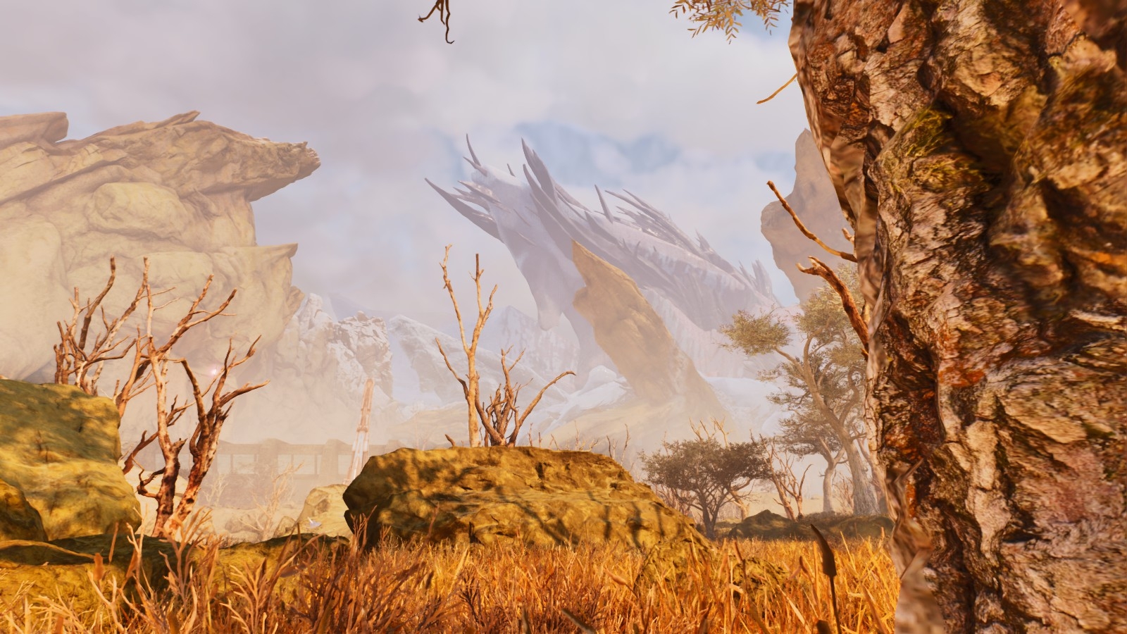 20250124001126_1.jpg - Community Albums - ARK - Official Community Forums