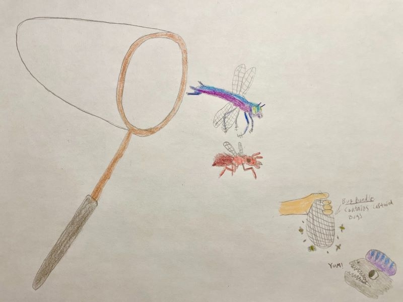 Harpactognathus: Your Battle-Ready Eyes in the Skies - Creature ...