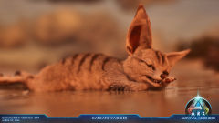 StudioWildcard - ARK - Official Community Forums